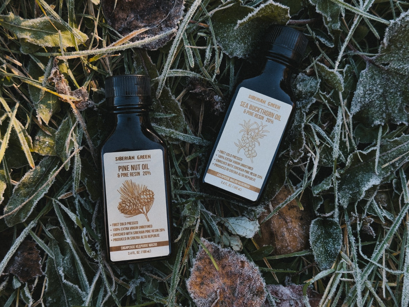 Nature’s Synergy: How Cedar Resin Supercharges the Benefits of Oils ...
